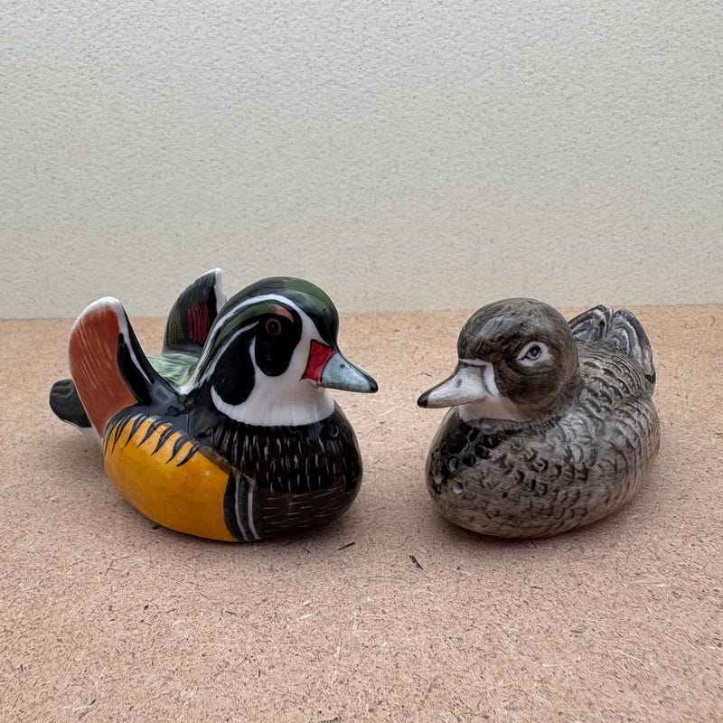Hunting Salt and Pepper - Etsy UK
