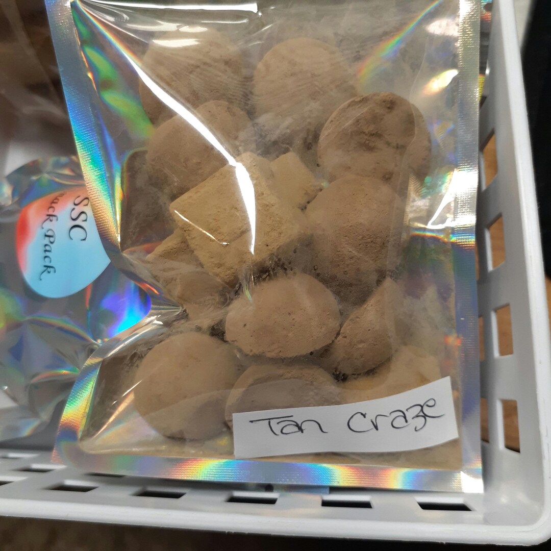 Tan Craze Snack Pack 15 Pcs. per Pack - Etsy