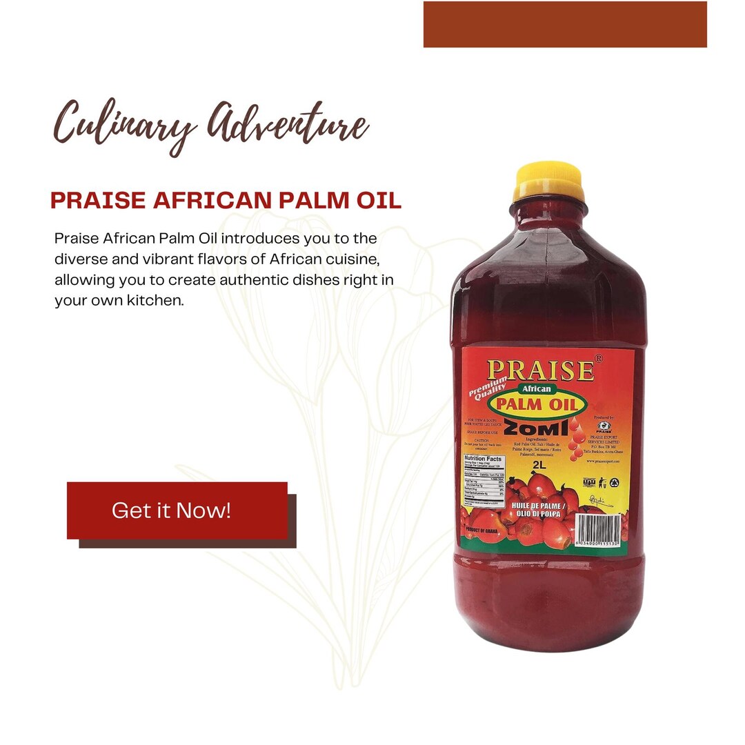 Praise African Palm Oil 2L | Zomi - Etsy