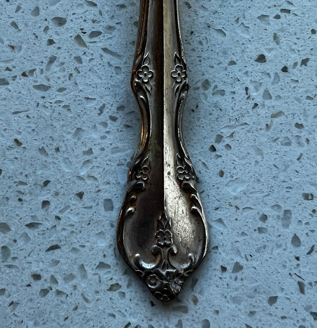 Vintage Rogers & Bro Southern Splendor Iced Tea Spoon Reinforced Plate ...