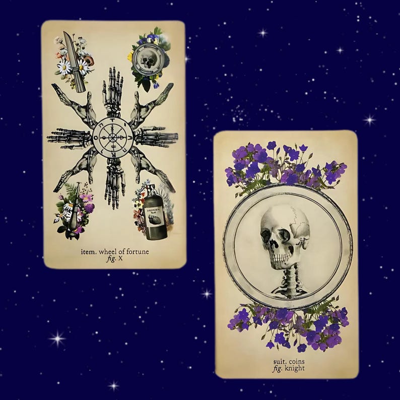 The Antique Anatomy Tarot Metal Box With Guidebook Vintage Botanical ...