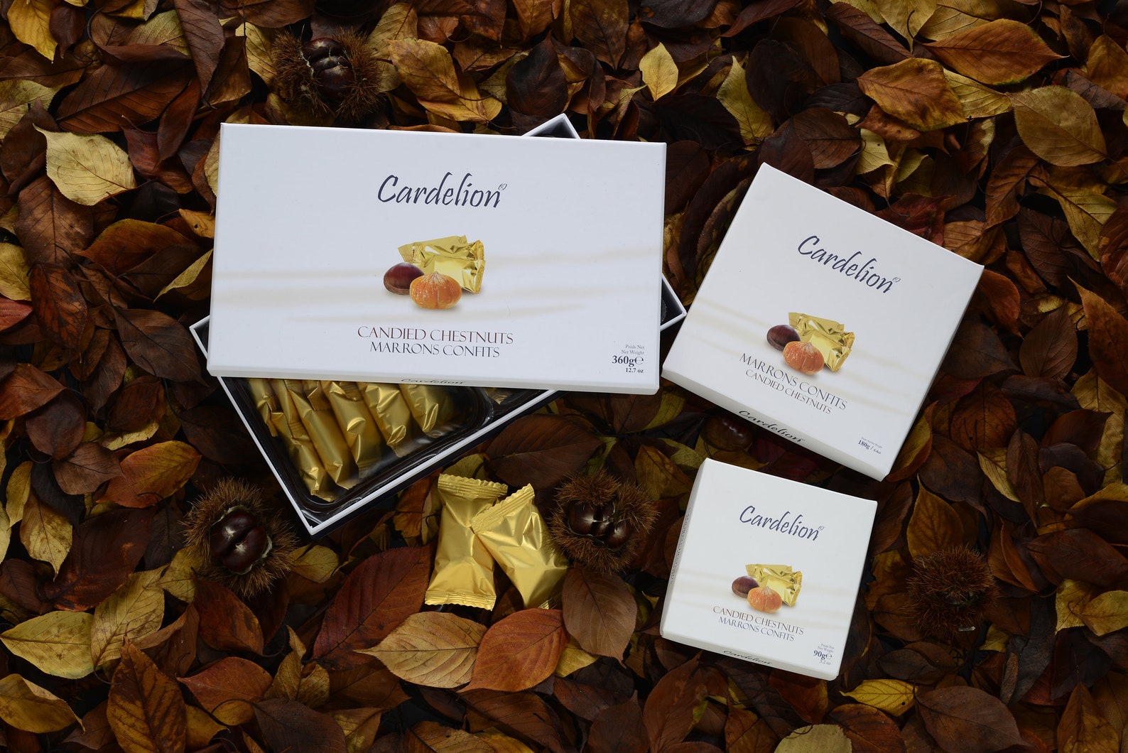 Cardelion Marron Glace Candied Chestnuts Chesnuts Maroon Glace Chestnut ...