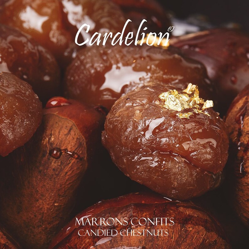 Cardelion Marron Glace Candied Chestnuts Chesnuts Maroon Glace Chestnut ...