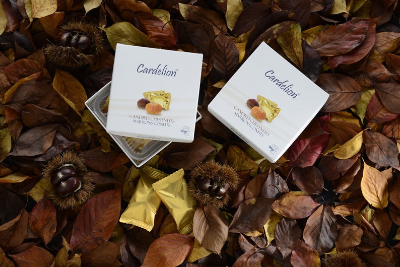 Cardelion Marron Glace Candied Chestnuts Chesnuts Maroon Glace Chestnut ...