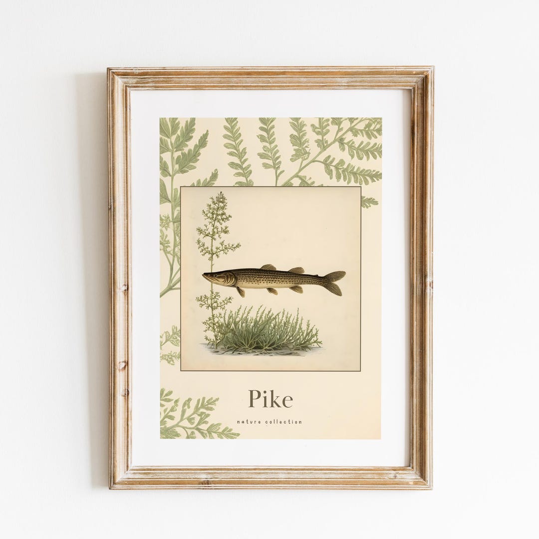Vintage Pike Print | Pike Print Wall Art | Fishing Art | Farmhouse Wall ...