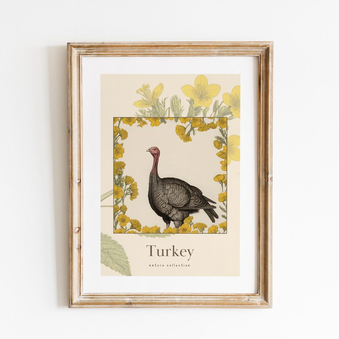 Vintage Turkey Print | Turkey Print Wall Art | Antique Turkey Print ...