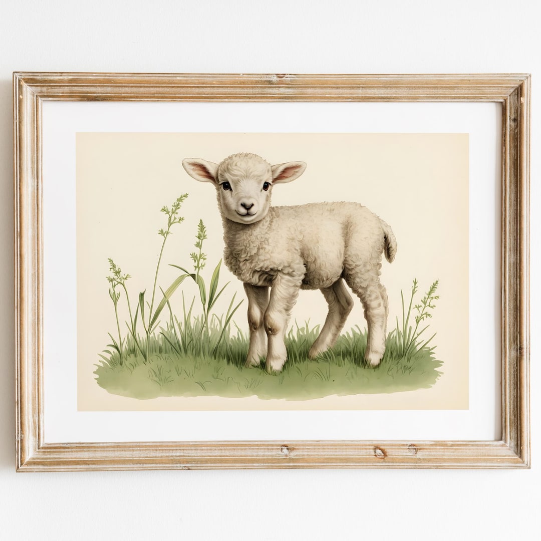 Vintage Lamb Print | Lamb Vintage Drawing | Animal Nursery Wall Art ...