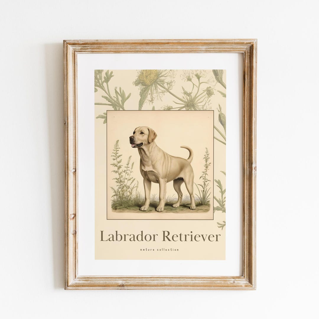Vintage Labrador Retriever Print | Labrador Print Wall Art | Dog ...