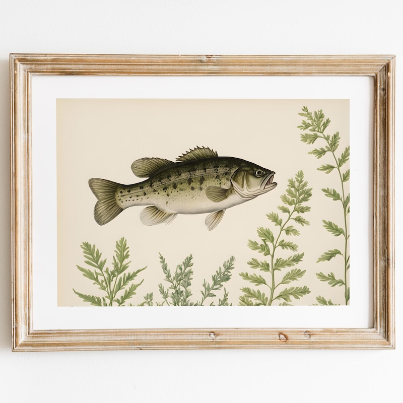 Bass Fishing Poster - Etsy