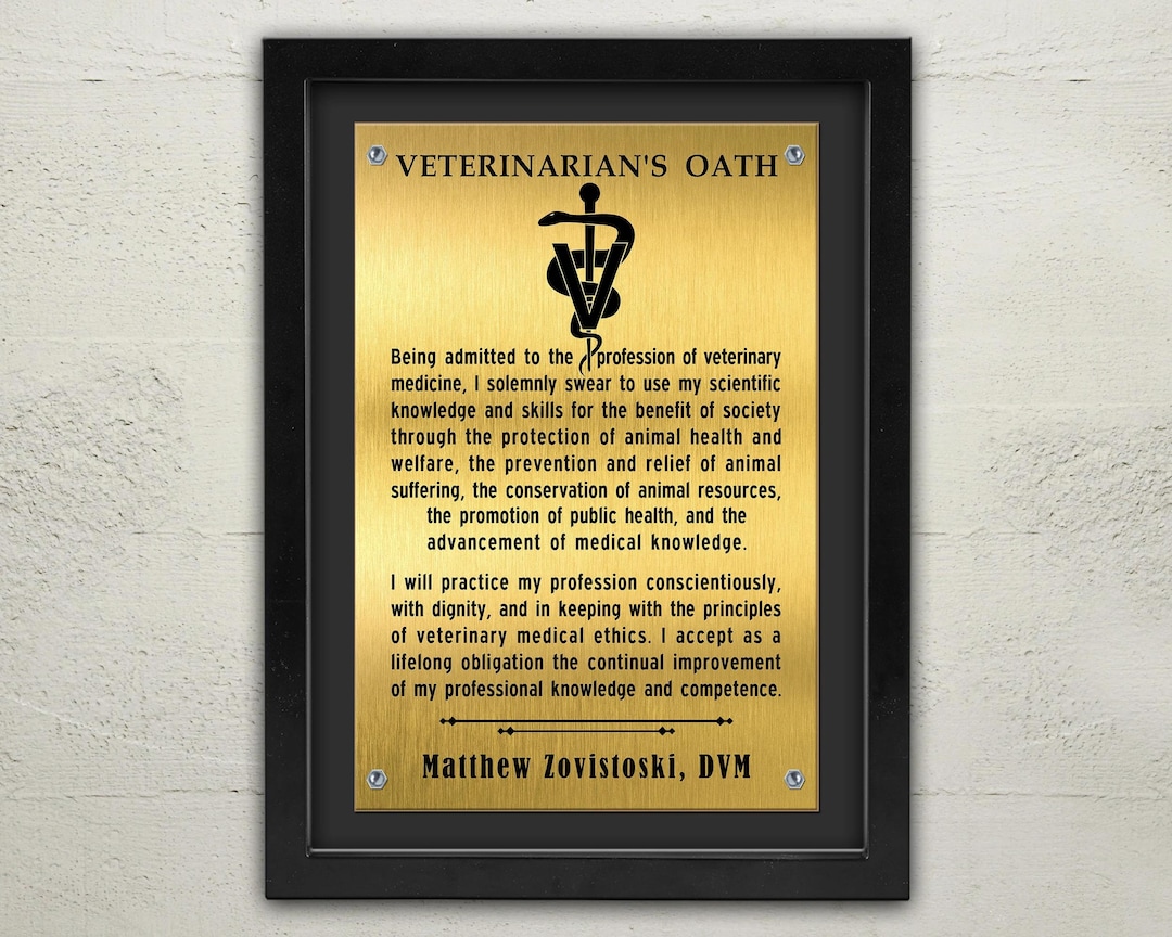 Veterinarian's Oath Framed Plaque: Veterinary Gift (12x16 Inch) - Etsy