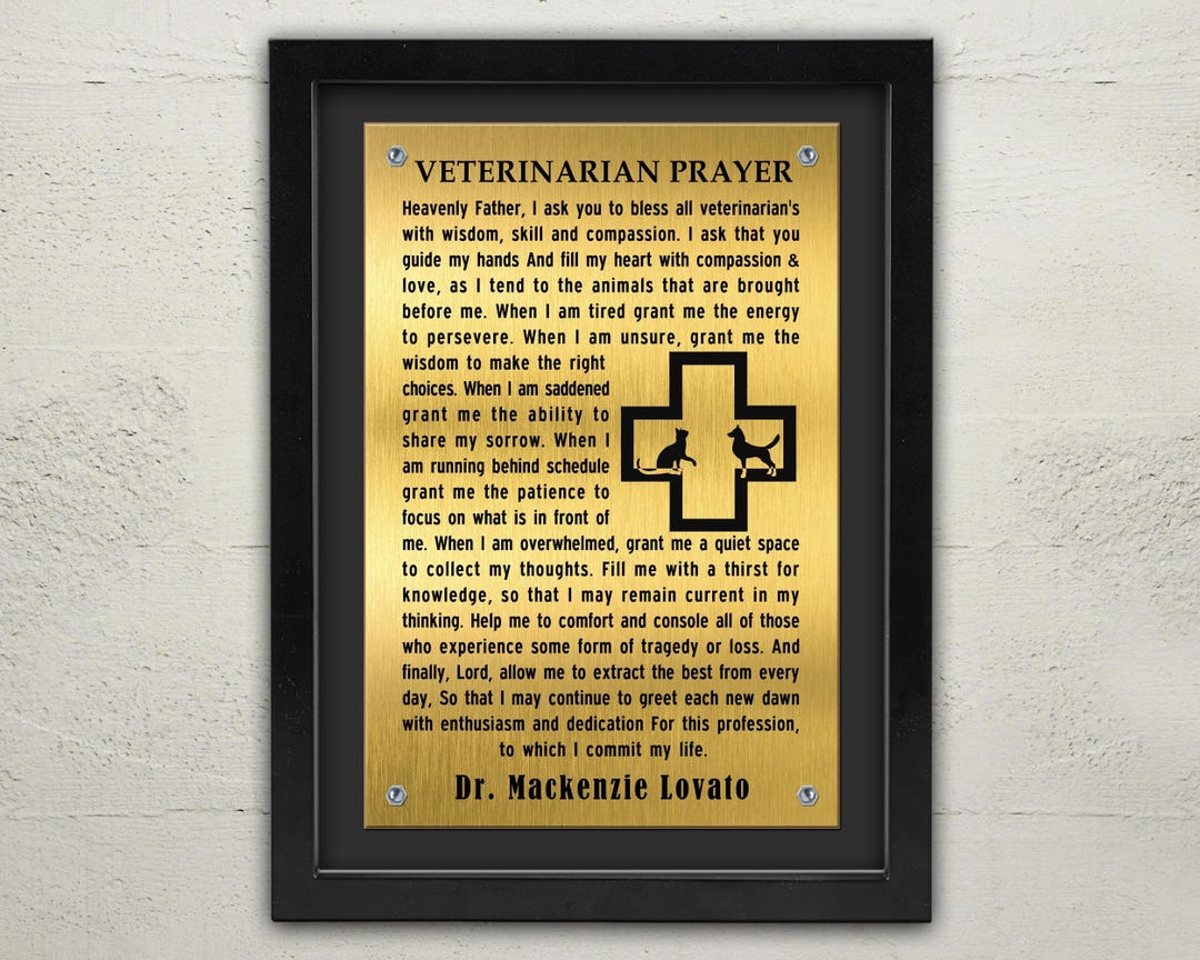 Personalized Veterinarian Prayer Framed Plaque | Veterinarian Gift ...