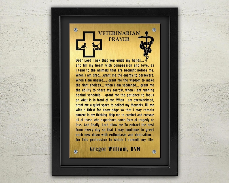 Personalized Veterinarian Prayer Framed Plaque | Veterinarian Gift ...