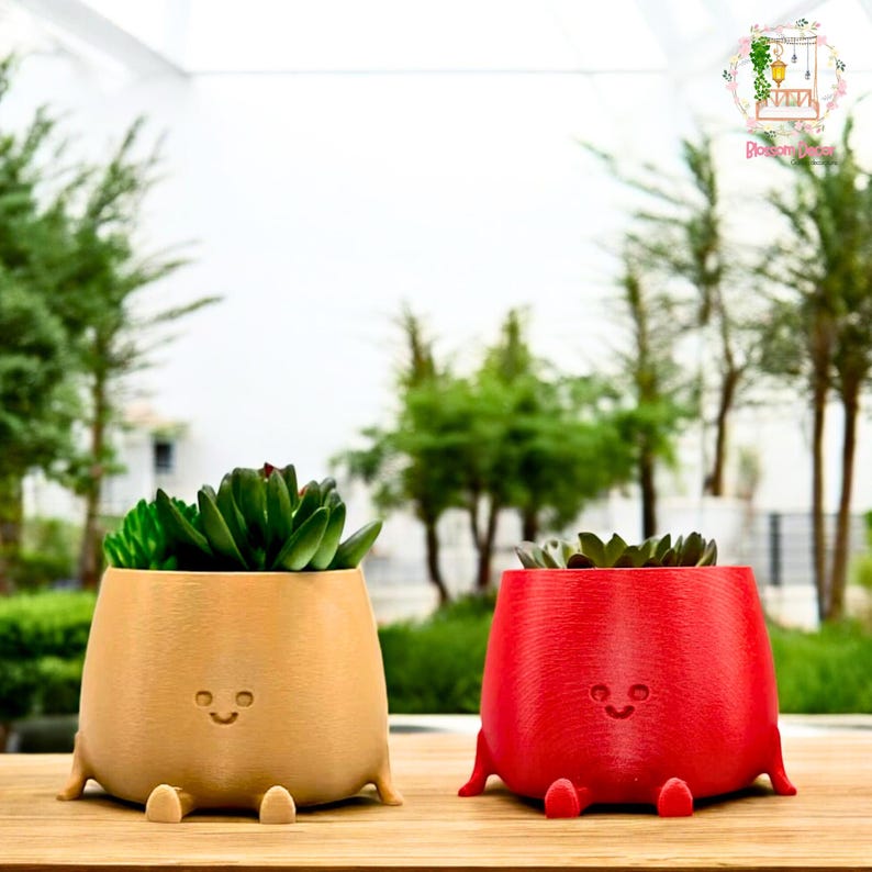 Smiley Face Planter Pot Cute Decorative Resin Planter for Indoor ...