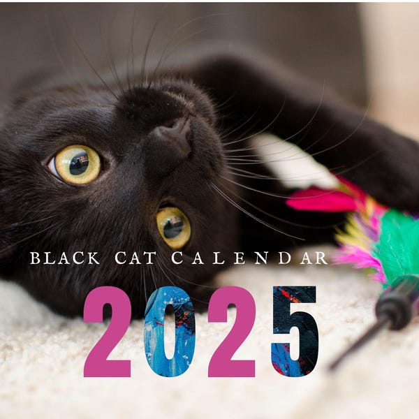 Cat Calendar - Etsy