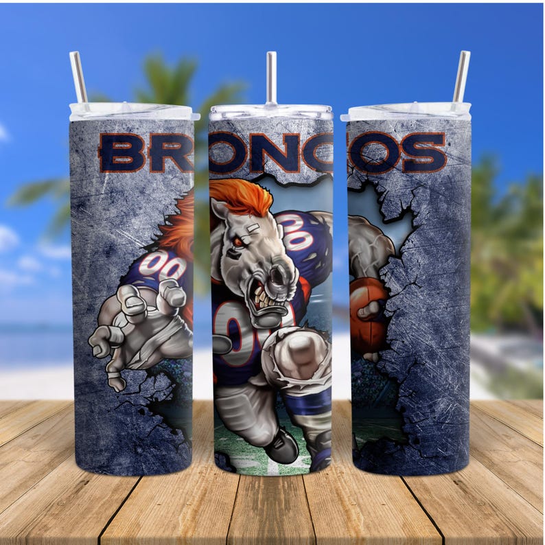 Denver Broncos Game Day Tumbler, 20oz Skinny Stainless Steel W/ Lid ...