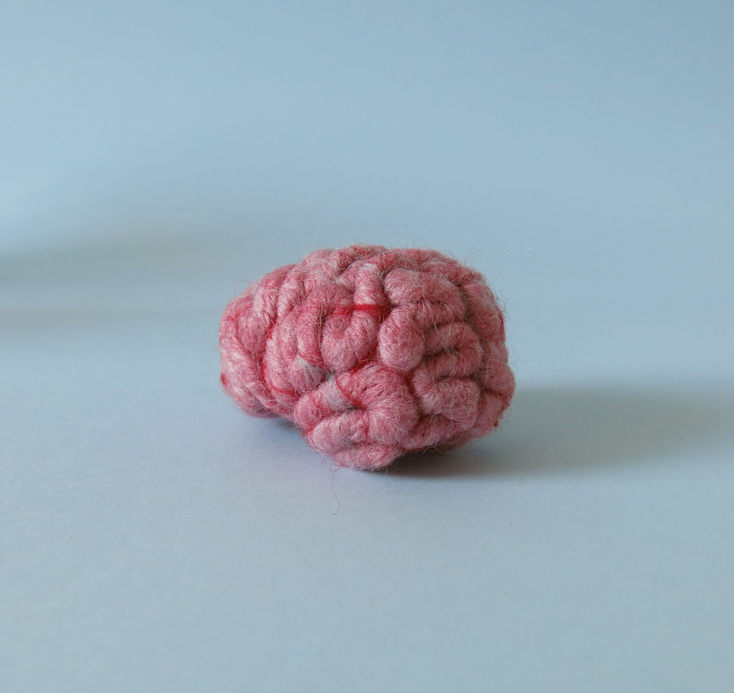 Specimen Jar Brain Anatomical Curio J1 Human Brain Display Anatomy ...