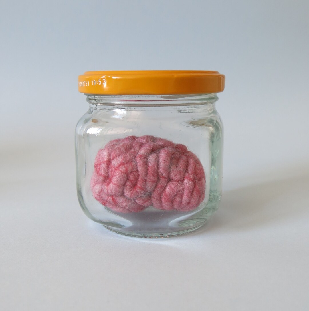 Specimen Jar Brain Anatomical Curio J1 Human Brain Display Anatomy ...