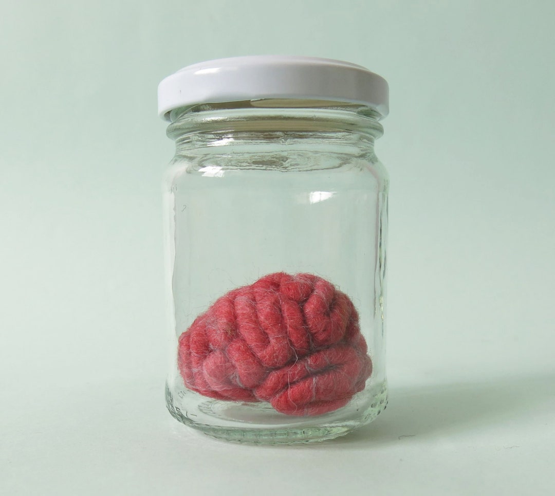 Specimen Jar Brain Anatomical Curio P1 Human Brain Display Anatomy ...