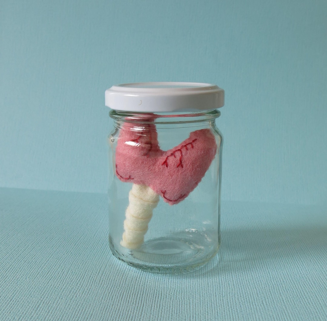 Thyroid in a Jar Anatomical Specimen Medical Decor Anatomy - Etsy