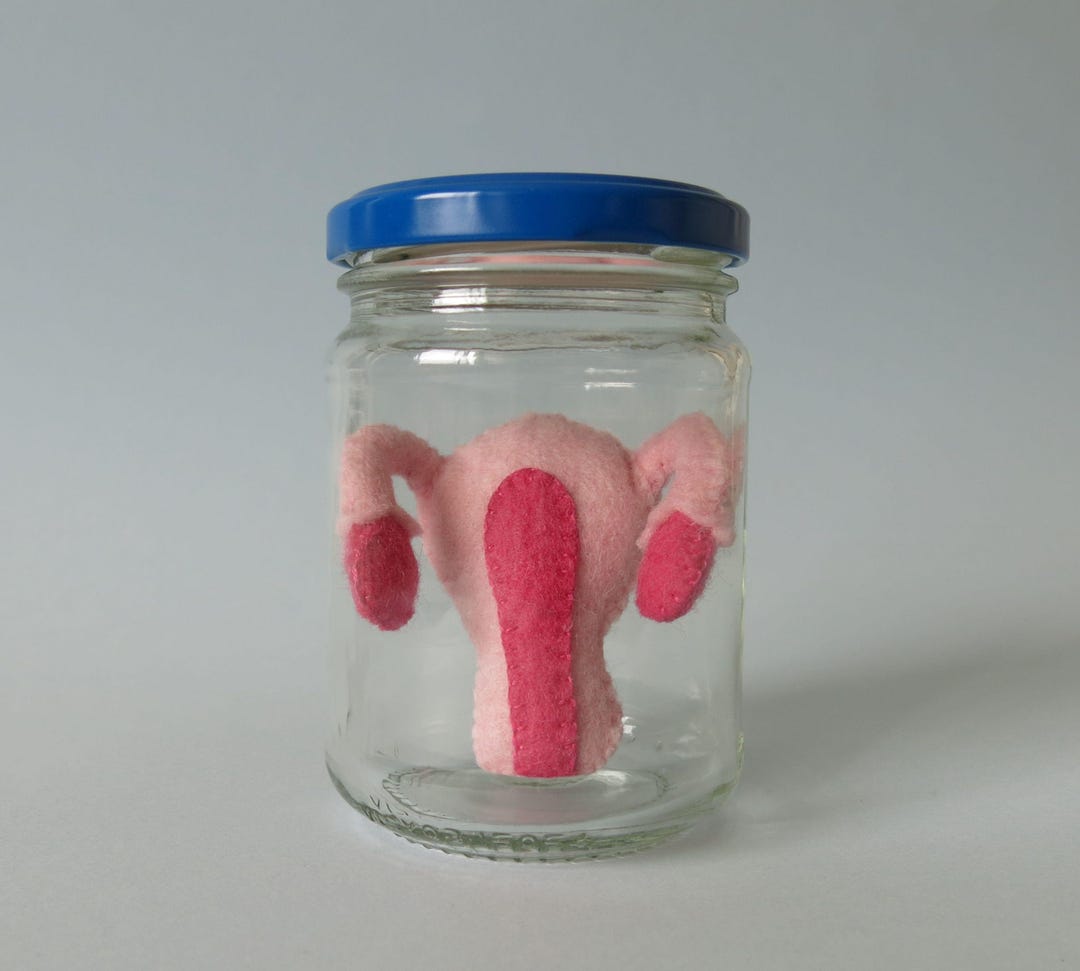 Uterus Specimen Jar Felt Anatomy Ovary Decor Anatomical Medical Display ...
