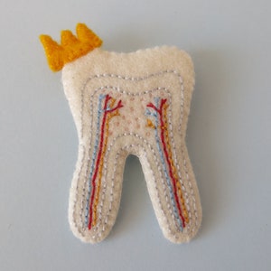 Tooth Cross Section With Crown Brooch Dental Pin Dentist Jewellery ...