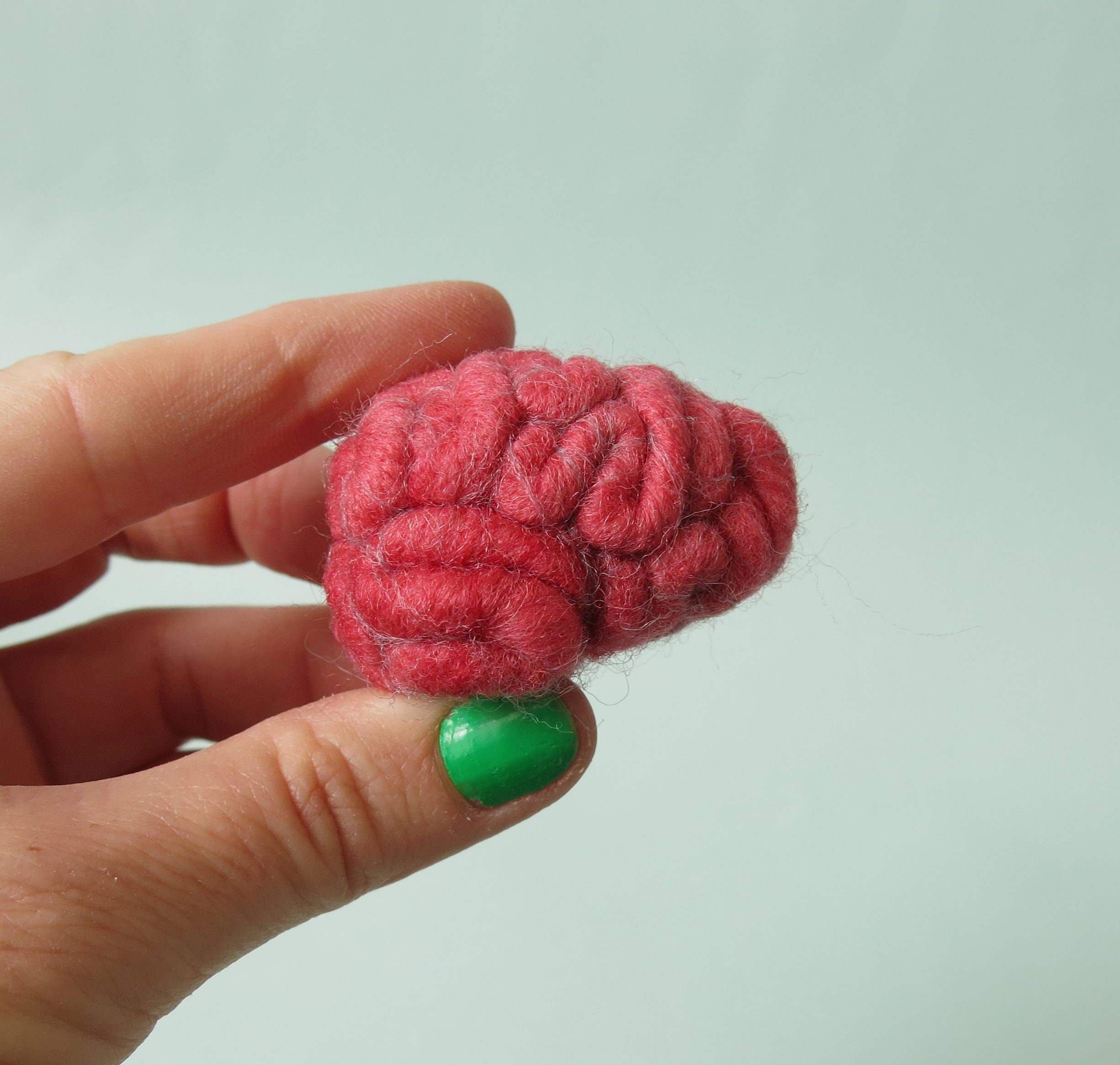 Specimen Jar Brain Anatomical Curio P1 Human Brain Display Anatomy ...