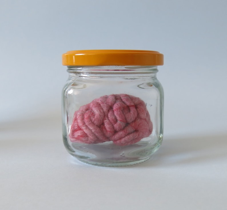 Specimen Jar Brain Anatomical Curio J1 Human Brain Display Anatomy ...