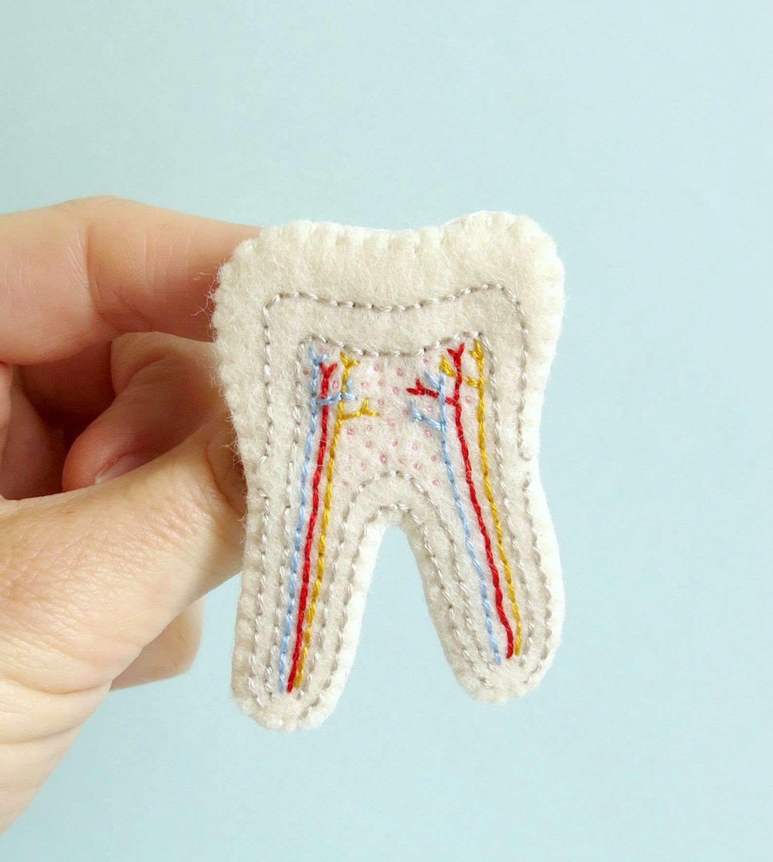 Tooth Cross Section Brooch Dental Pin Dentist Jewellery Teeth Jewelry ...