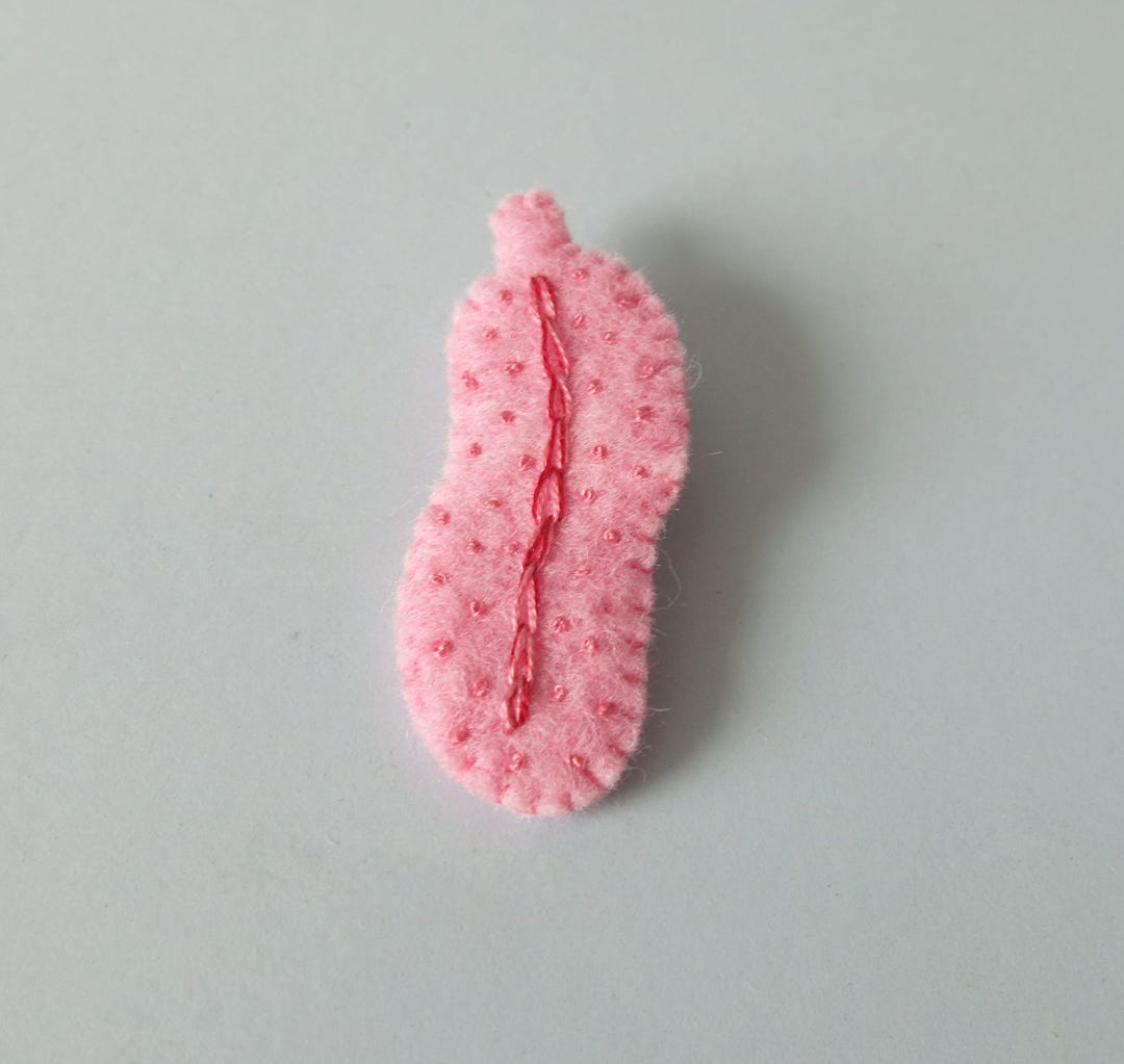 Appendix Brooch Anatomy Jewelry Medical Jewellery - Etsy