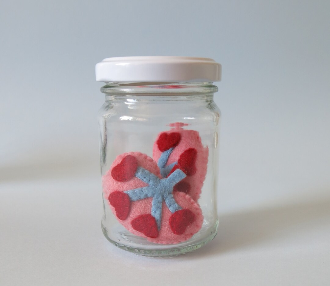 Kidneys in a Jar Felt Anatomical Specimen Anatomy Display Medical Decor ...