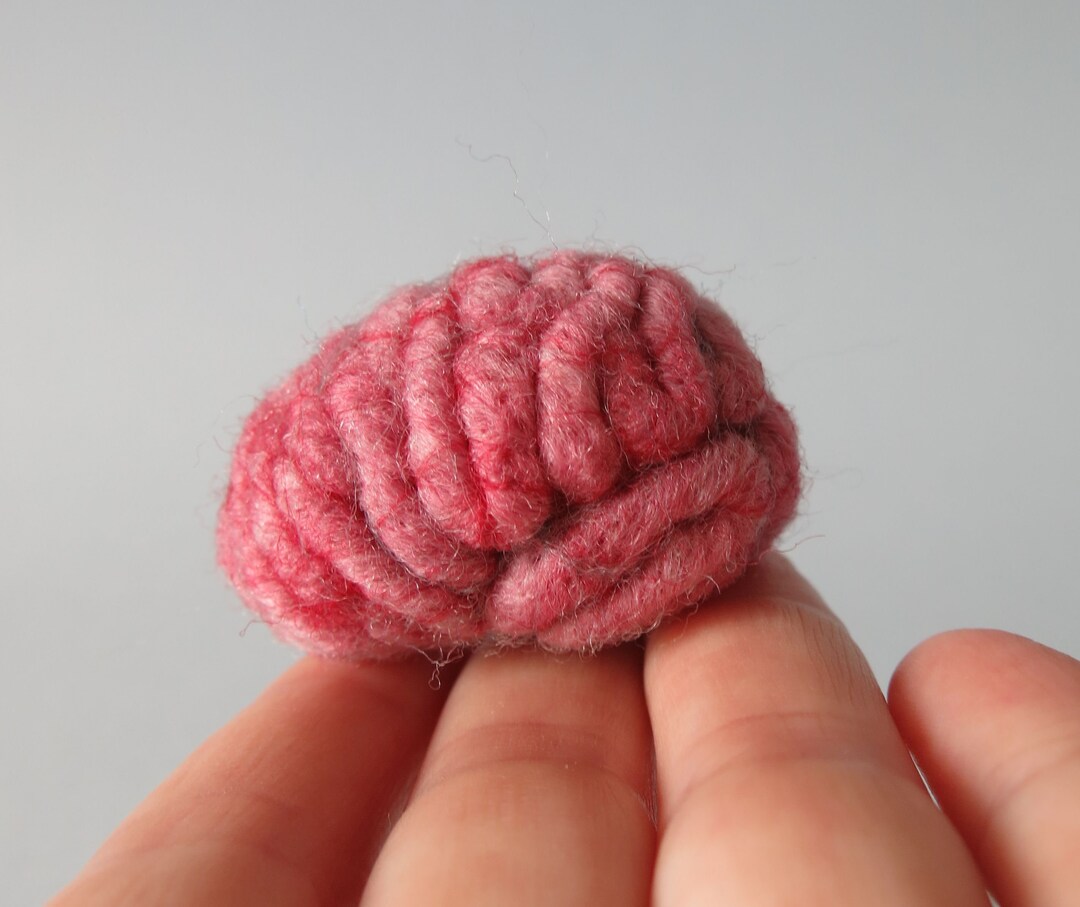 Brain Anatomical Curio M2 Human Brain Display Anatomy Brain Art - Etsy