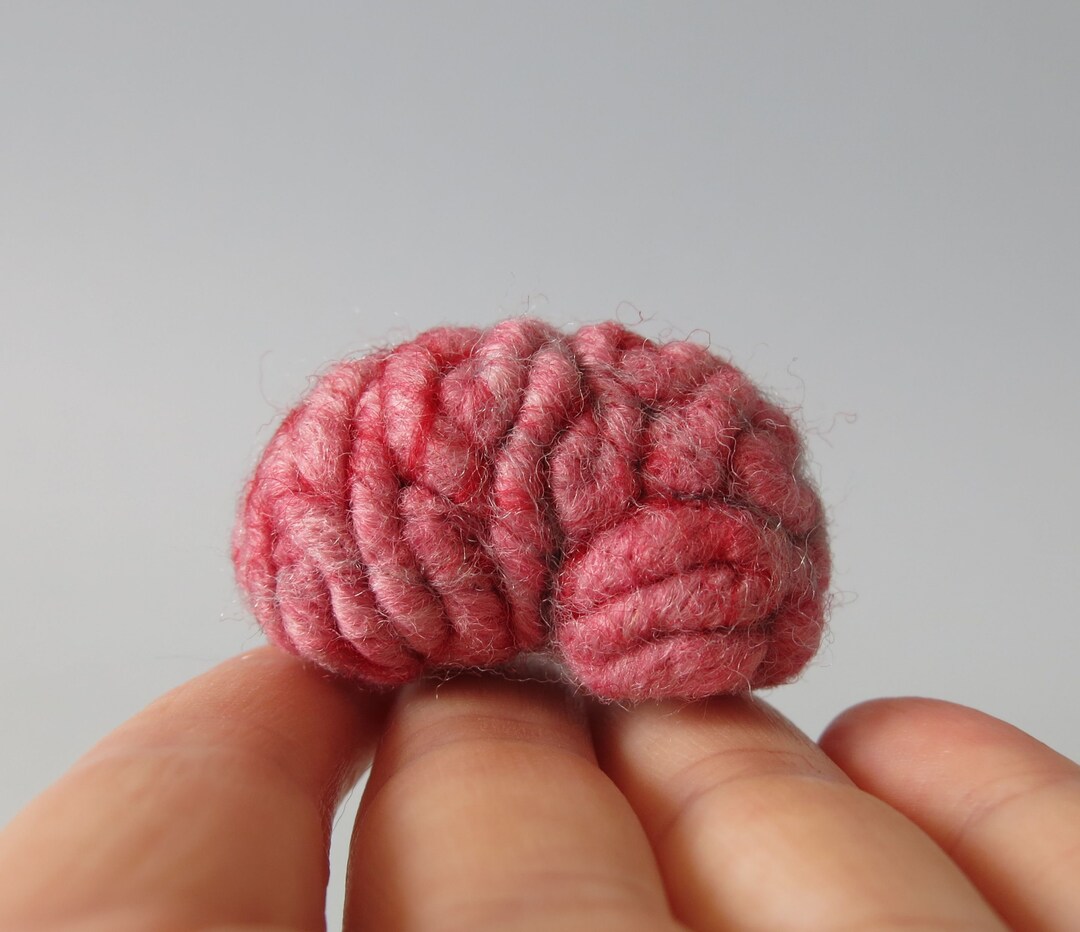 Brain Anatomical Curio M1 Human Brain Display Anatomy Brain Art - Etsy