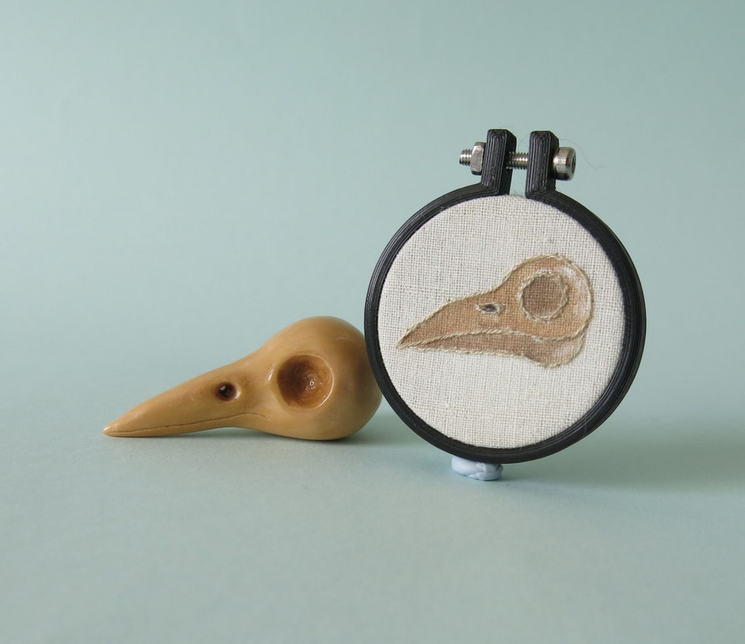 Bird Skull Brooch Pin and Display - Etsy