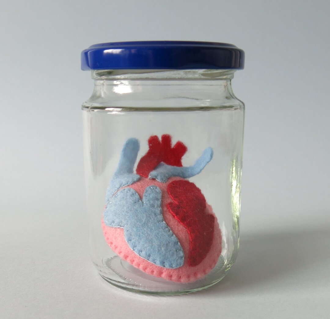 Heart Specimen Jar Anatomical Specimen Anatomy Medical Decor - Etsy