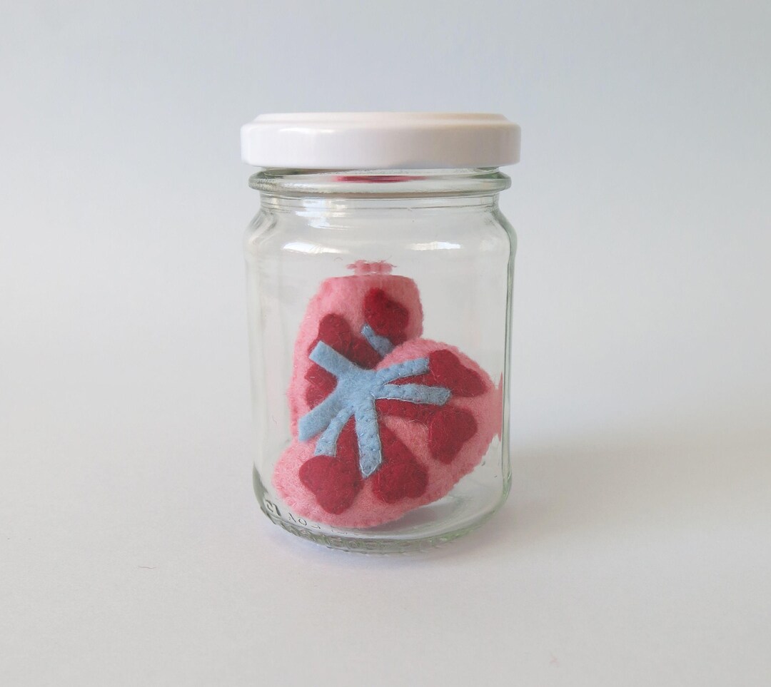 Kidneys in a Jar Felt Anatomical Specimen Anatomy Display Medical Decor ...