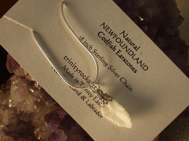 Memories of Newfoundland Cods Ear Otolith Codfish Natural Ear Stones ...