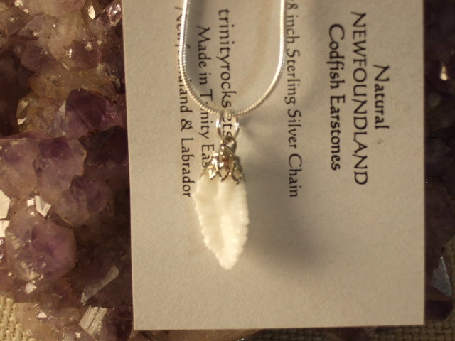 Memories of Newfoundland Cods Ear Otolith Codfish Natural Ear Stones ...