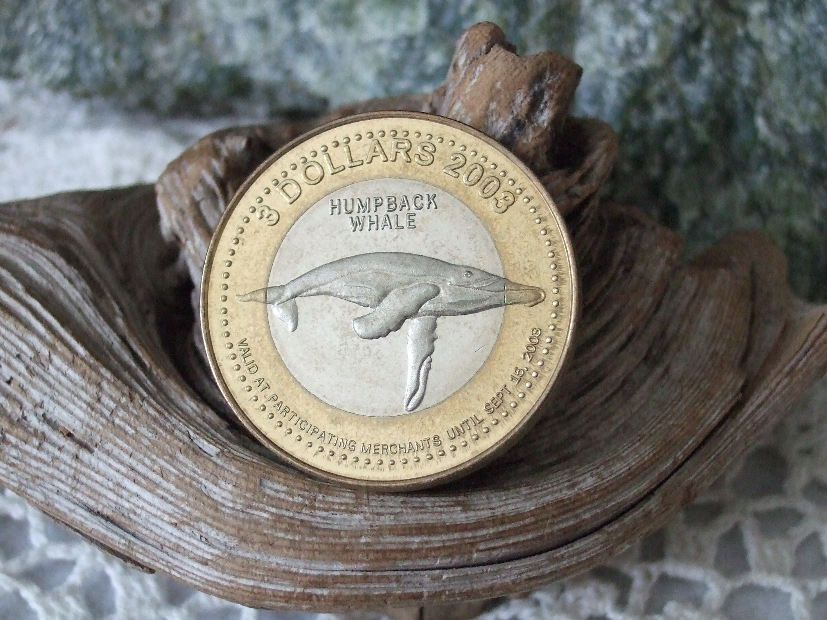 Collectible Trinity Bight Trade Dollar Newfoundland and - Etsy