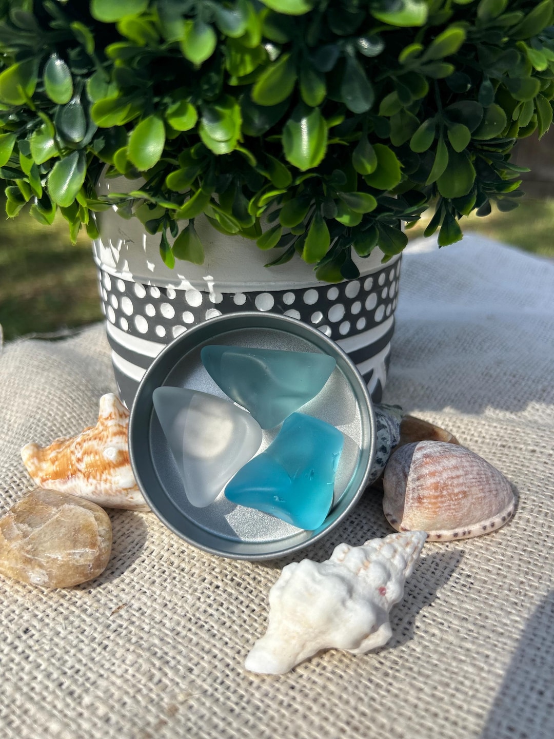 Sea Glass Magnets - Set of 3 Beach Glass Tumbled Gift - Etsy