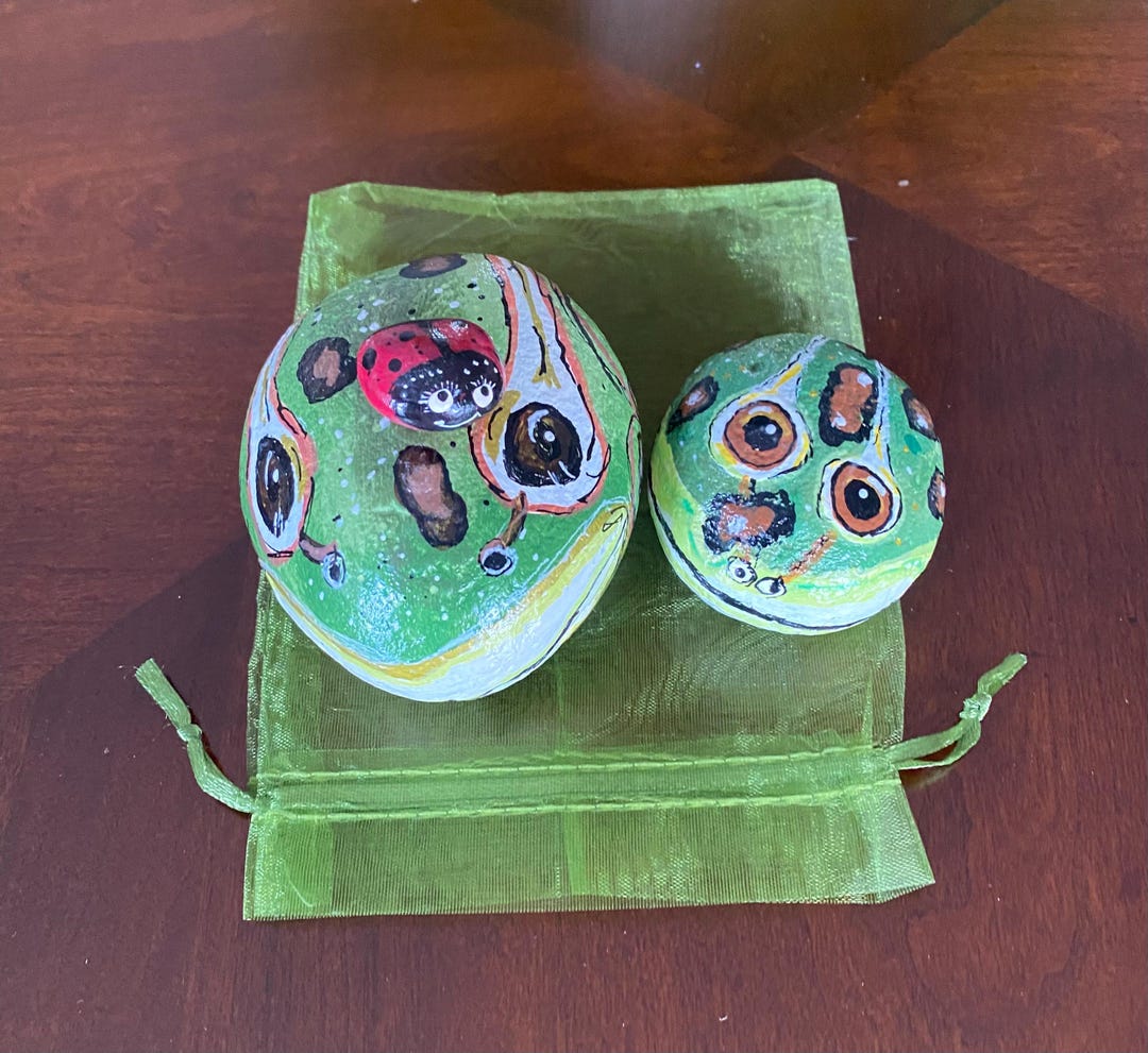 Hand-painted Frog Rock/ Unique Stone Art Decor/ Frog Lover's Gift - Etsy