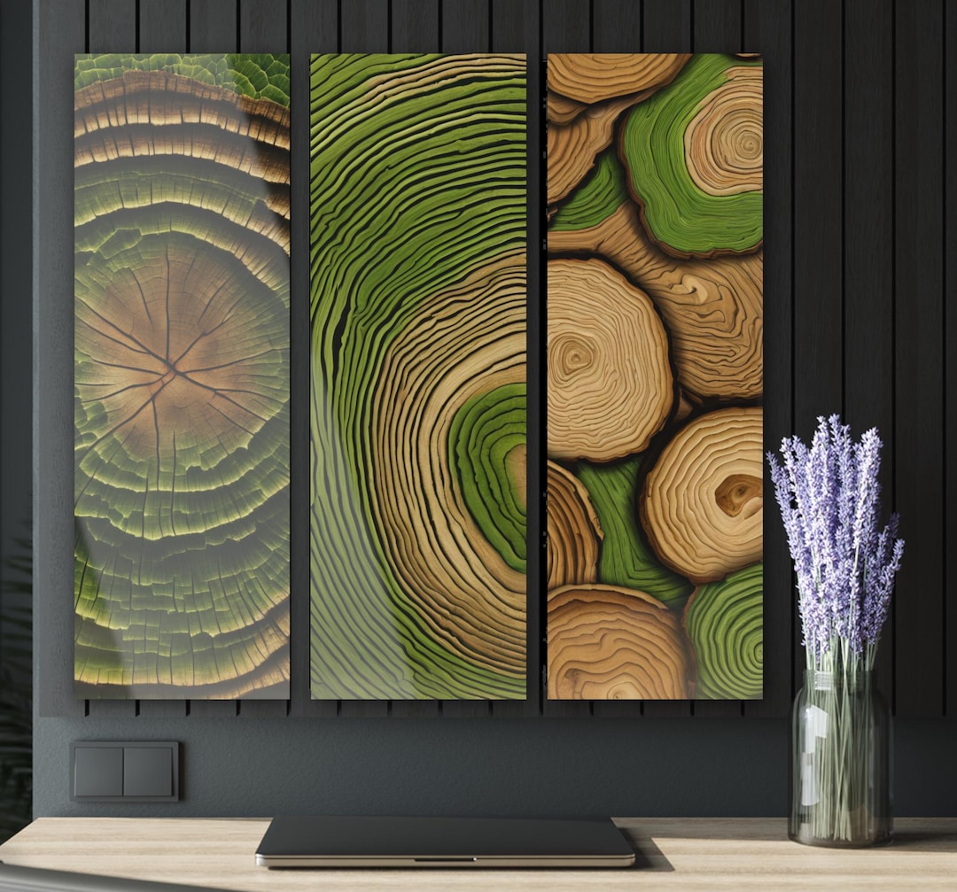 Tree Ring Wall Art, Nature Abstract Decor, Wood Nature Abstract 3pc ...