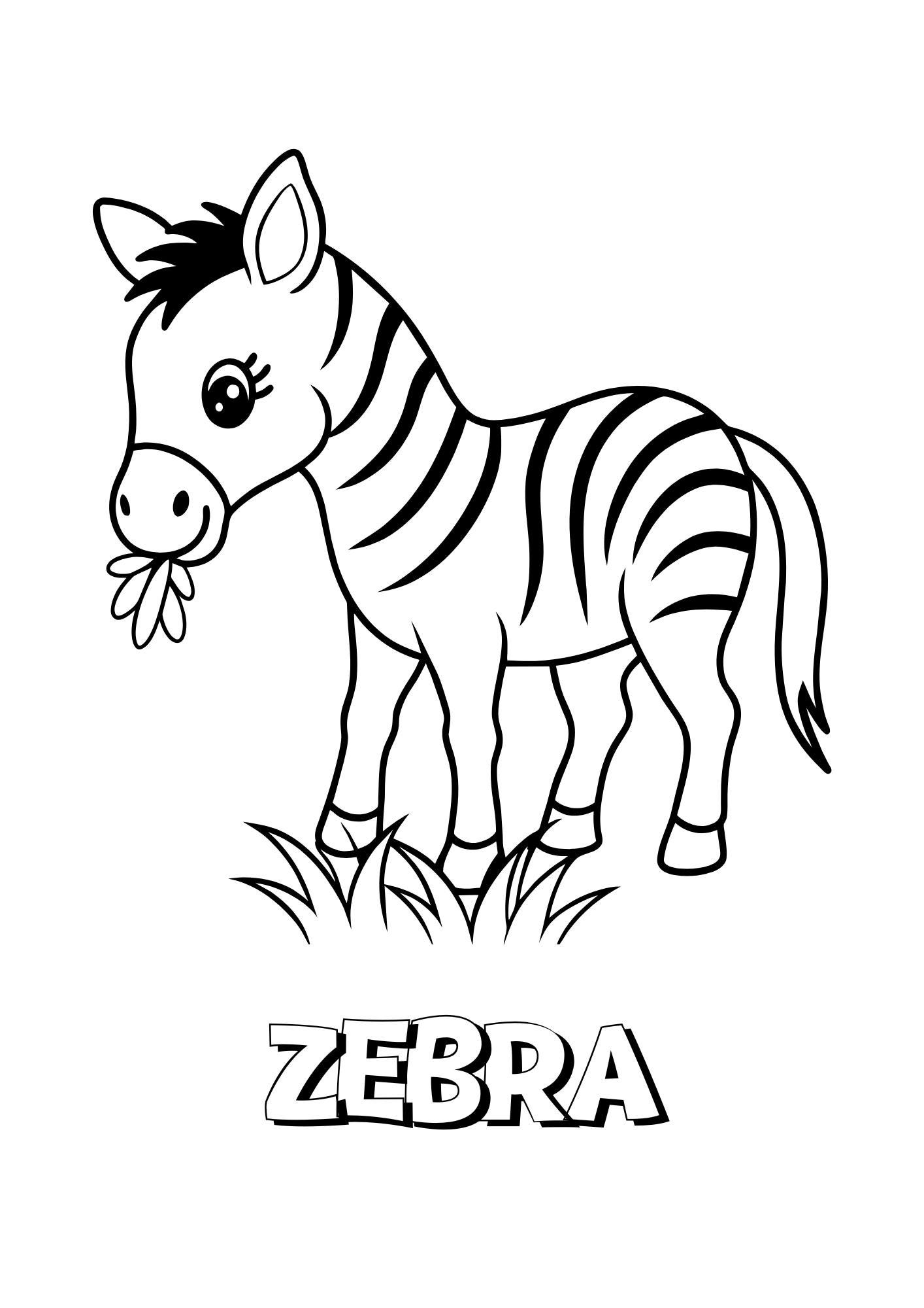 20 Pages | Printable Colouring Book | Colouring Book | Paint | Paint ...