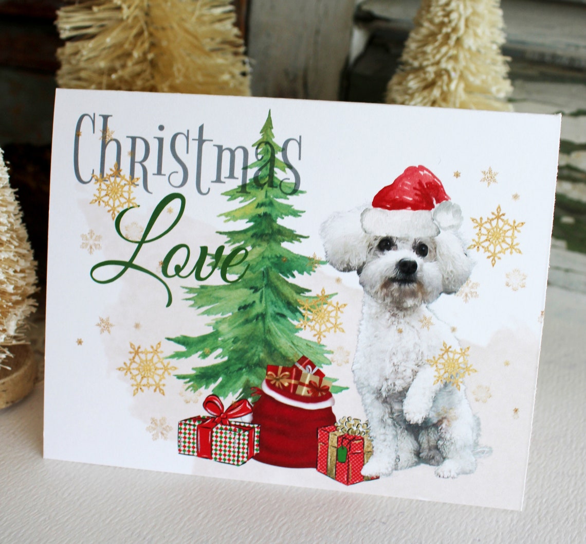 Bichon Christmas Cards Silly Bichon Christmas Cards Bichon - Etsy