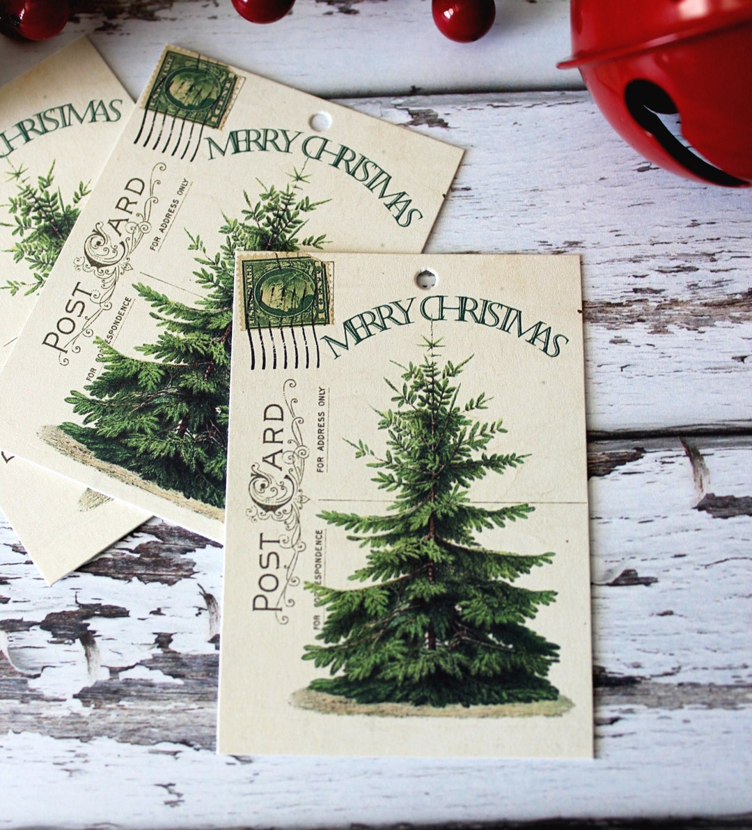 Vintage Postcard Christmas Tag, Postcard Tag With Vintage Pine Tree ...