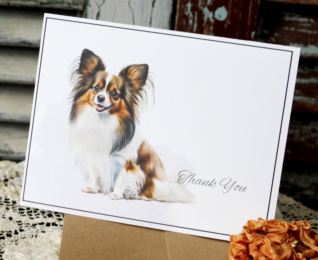 Papillon Note Card Sets, Personalized Papilllon Note Cards, Papillion ...