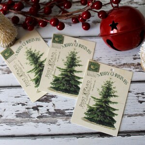 Vintage Postcard Christmas Tag, Postcard Tag With Vintage Pine Tree ...