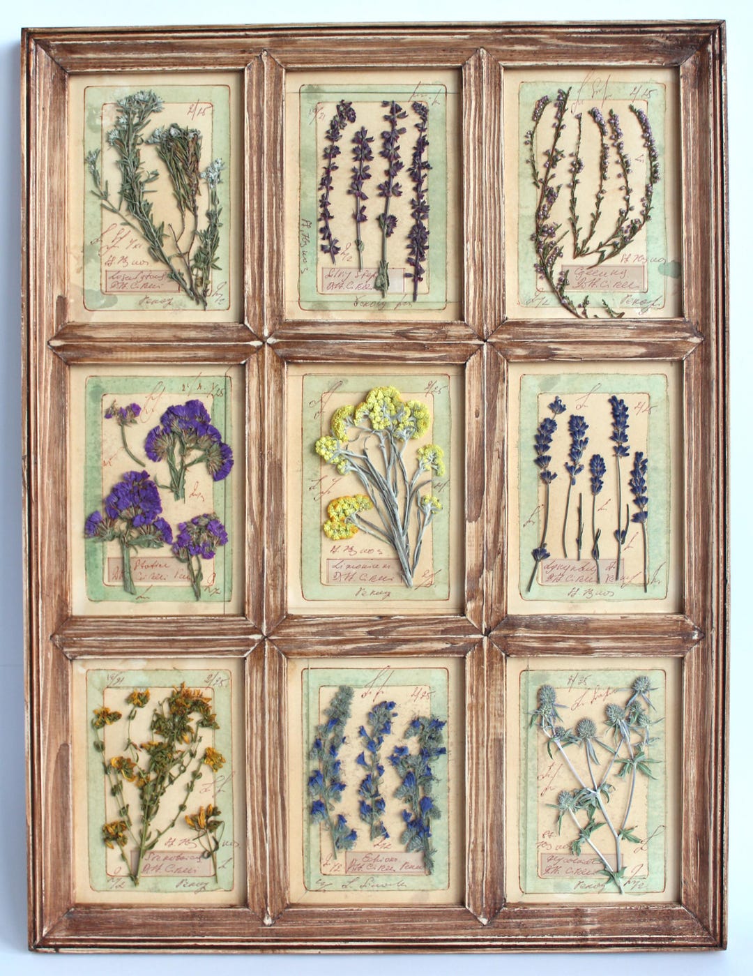 Pressed Flower Frame: Farmhouse Wall Decor, Dried Plant Art Set ...