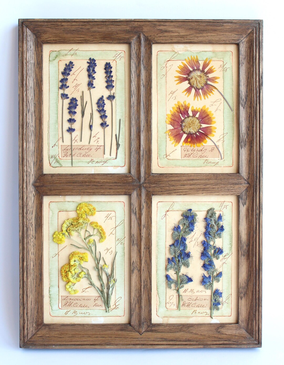 Pressed Flower Art, Farmhouse Decor, Pressed Flowers, Botanical ...