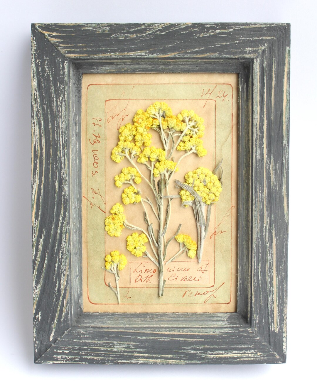 Dried Flower Frame by Pressed Flower Art in Farmhouse Handmade Blue ...