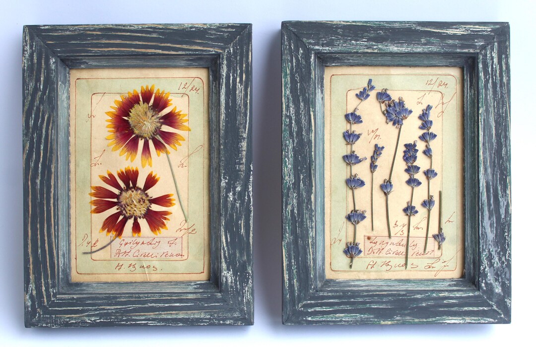 Set 2 Floral Frames, Dried Lavender Wall Decor, Lavender Frame ...
